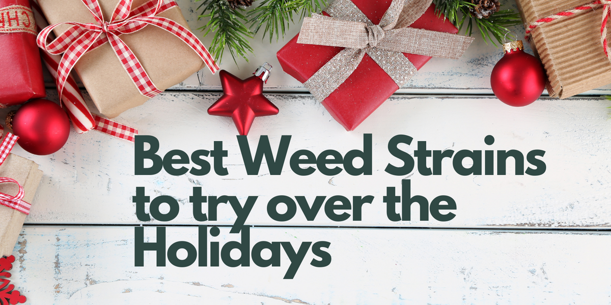 Best Weed Strains to try over the Holidays